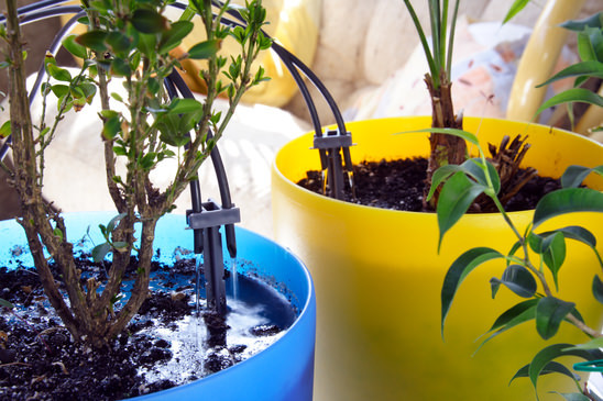 8 Automatic Plant Watering Systems To Make Herb Gardening Easier