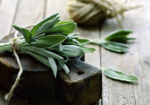 Cooking With Sage: Common Uses, Pairings And Unique Recipes