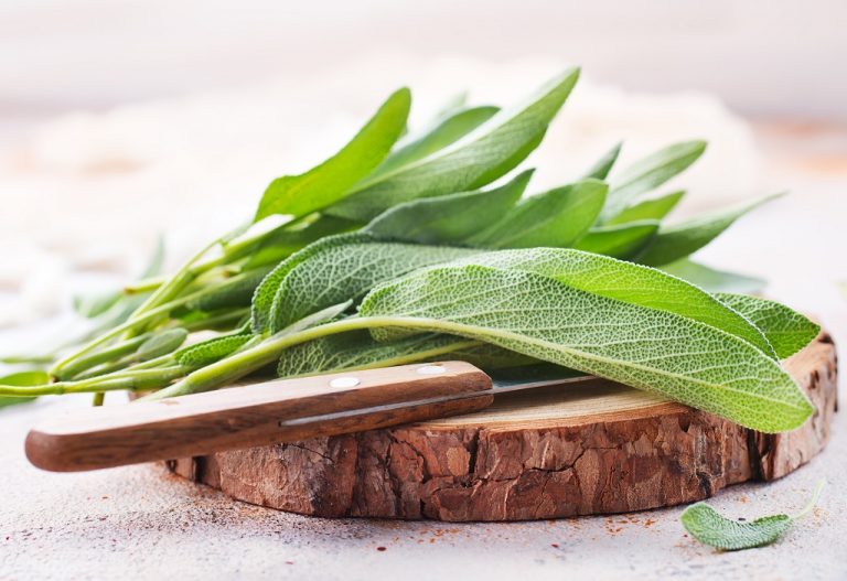 Cooking With Sage: Common Uses, Pairings And Unique Recipes