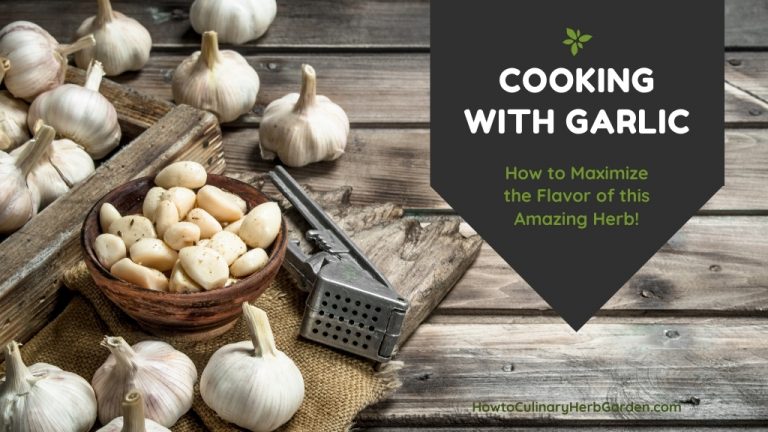 Cooking With Garlic - 6 Ways to Elevate The Flavor of Your Food