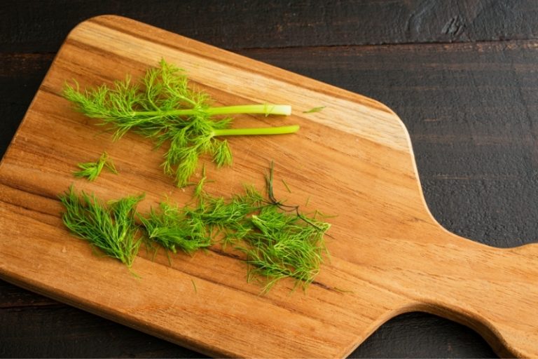Harvest and Preserve Fennel Seeds, Fronds and Stalks
