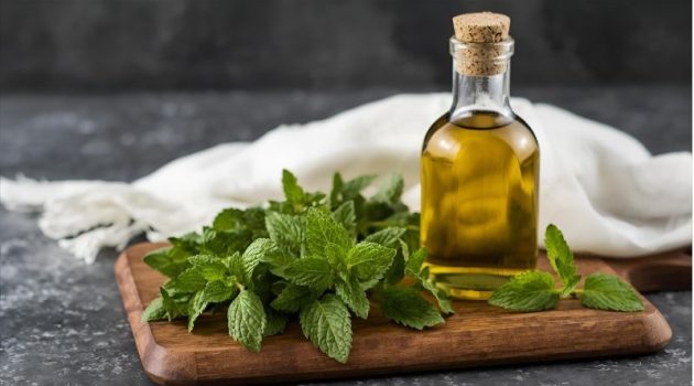 How to Harvest and Preserve Mint for Recipes & Tea