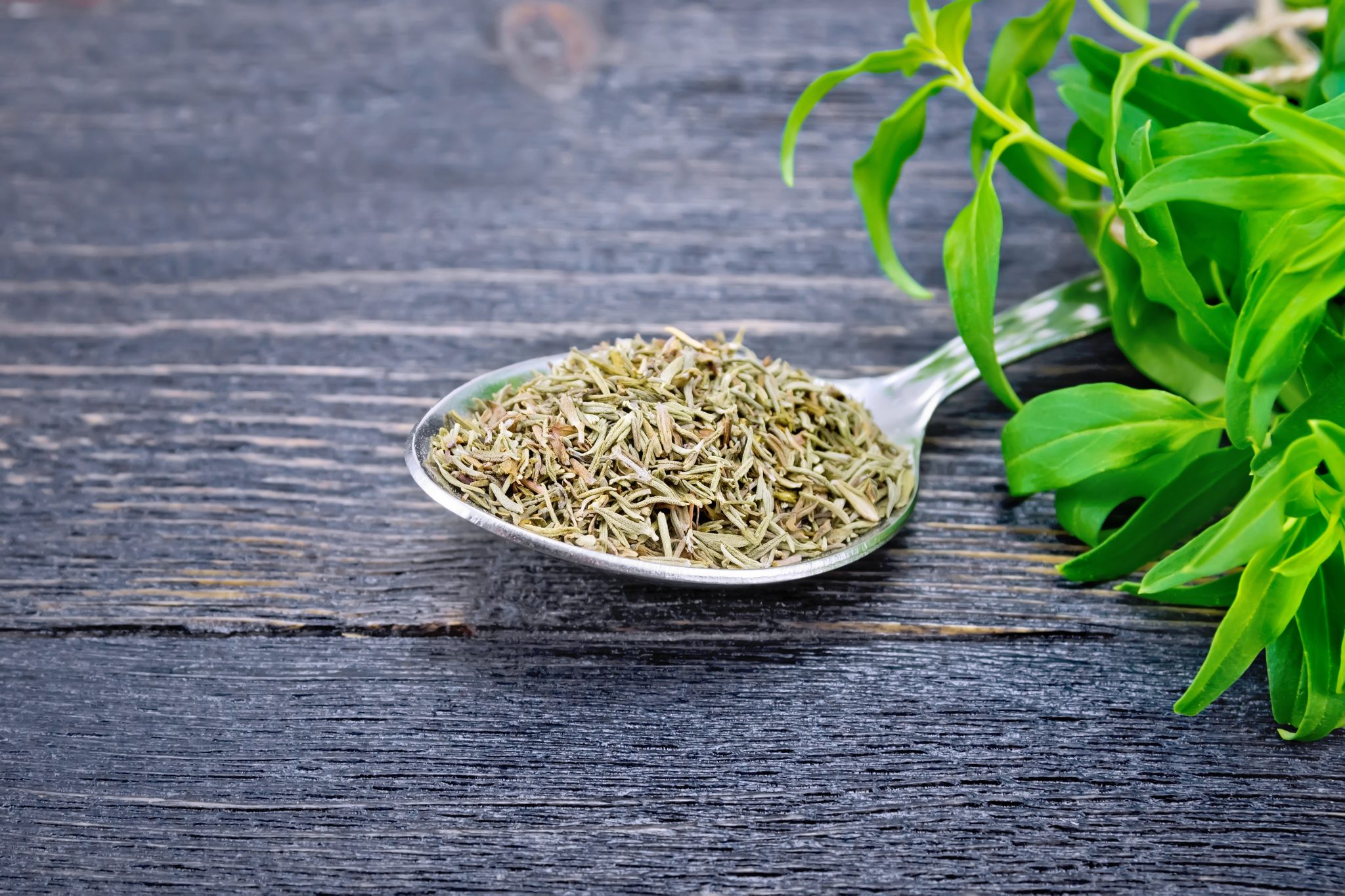 How to Use Summer Savory for Flavor and Healing